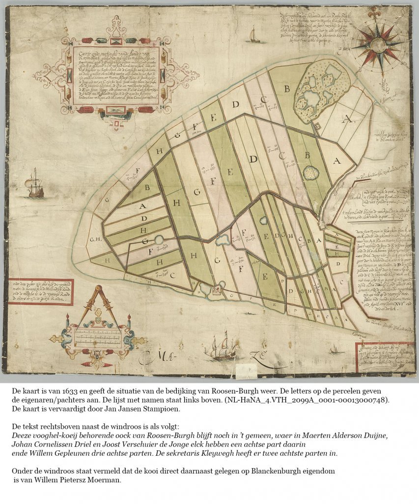 Eendenkooien op Rozenburg